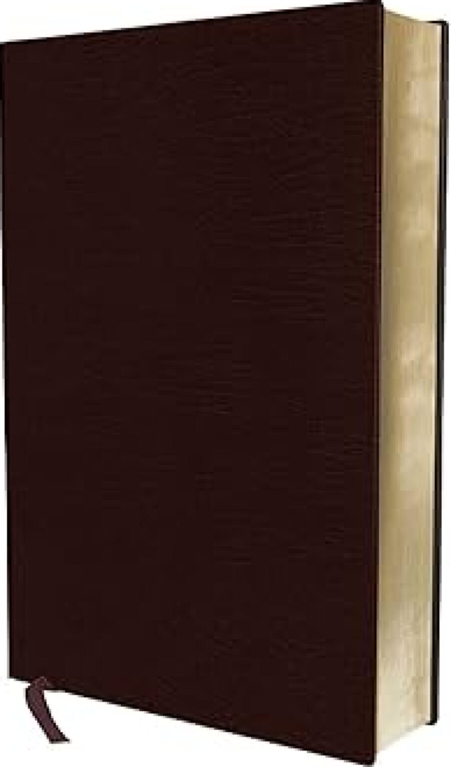 NIV, NKJV, NLT, The Message, (Contemporary Comparative) Parallel Bible ...